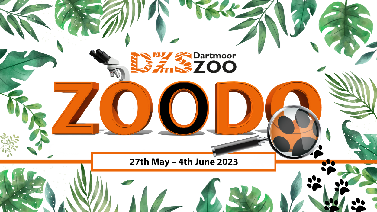 Zoodo - Plymouth Bus